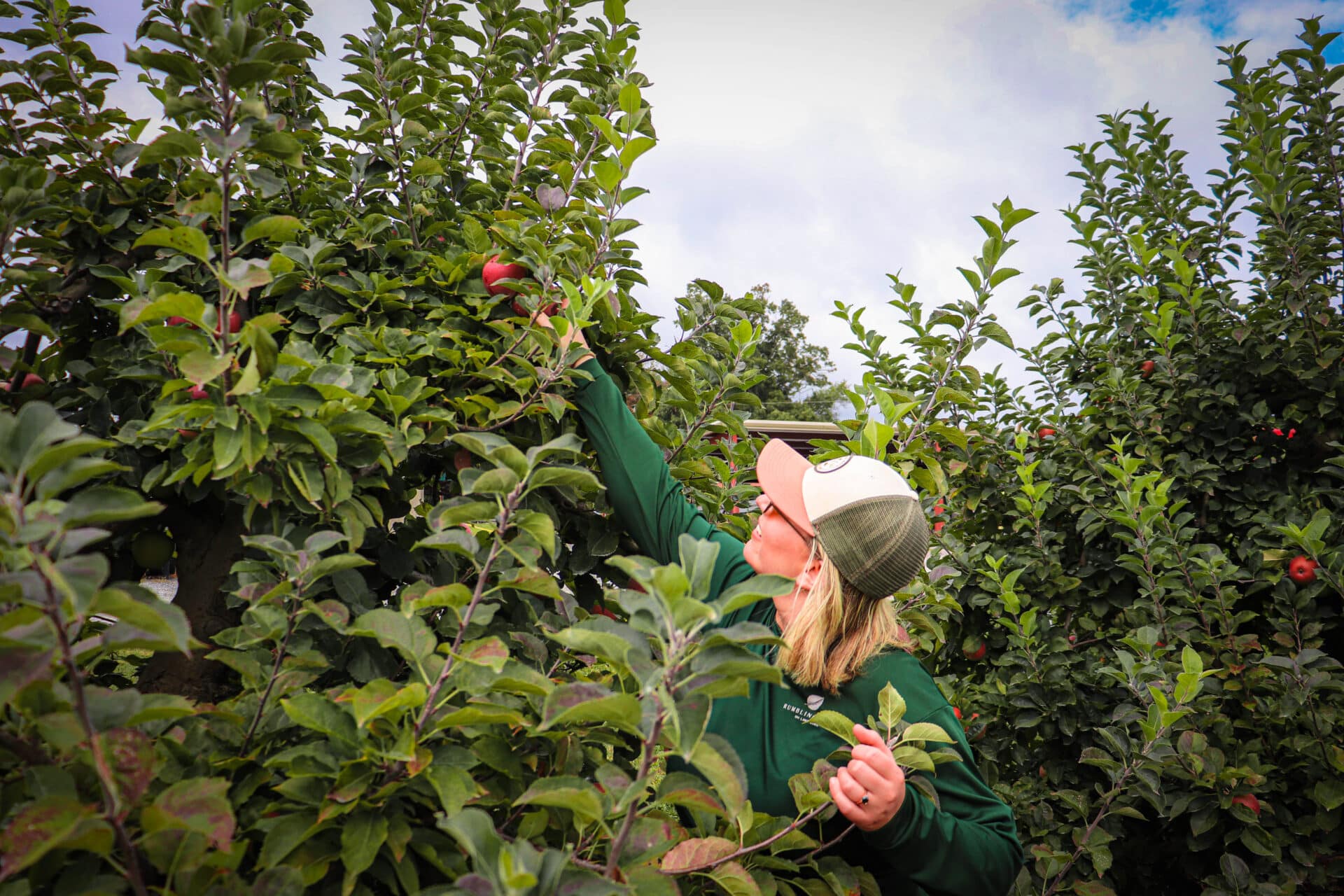 Celebrate Apple Season at Rumbling Bald: A Guide to Fall’s Favorite ...