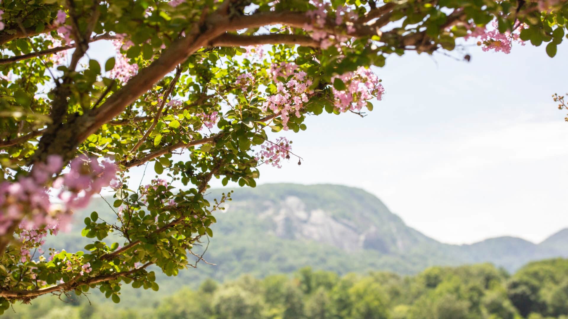 Kick Off the Season at Rumbling Bald on Lake Lure! | Rumbling Bald on ...